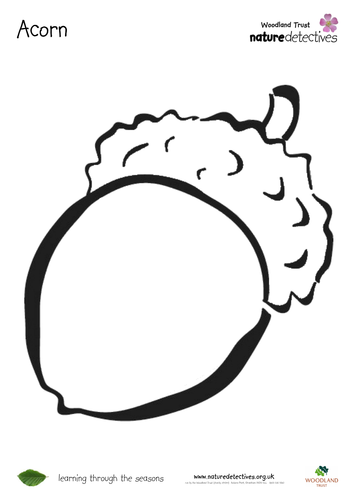 Colouring Sheet - Acorn | Teaching Resources