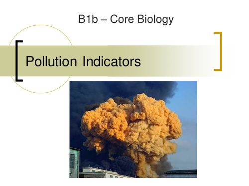 Pollution Indicators | Teaching Resources