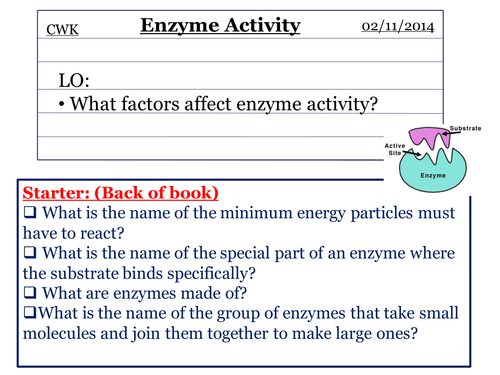 The effect of temperature & pH on enzyme activity | Teaching Resources