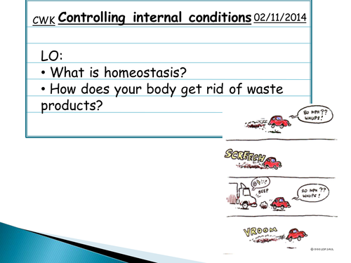 An introduction to homeostasis | Teaching Resources An introduction to homeostasis | Teaching Resources