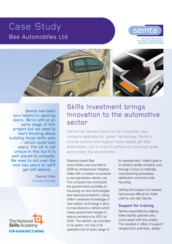 Bee Automobile Case Study | Teaching Resources