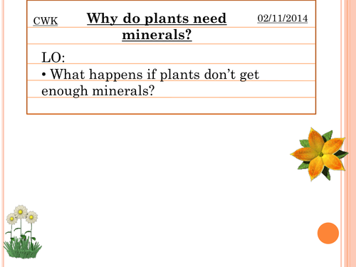 Plant Minerals | Teaching Resources