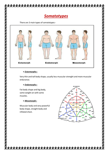 Have you any idea about Somatotypes? | Teaching Resources