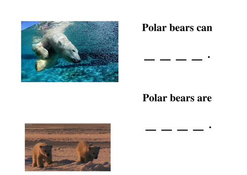 Polar Bear Non-fiction writing frame book | Teaching Resources