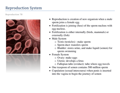 Reproduction System | Teaching Resources