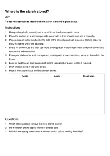 Where is starch stored? | Teaching Resources