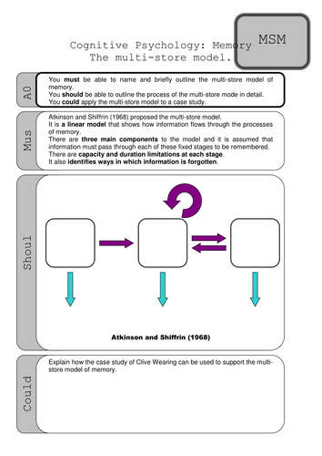 MultiStore models activity | Teaching Resources