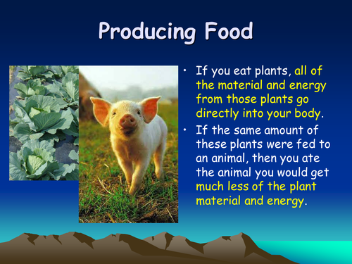 Efficient food production | Teaching Resources