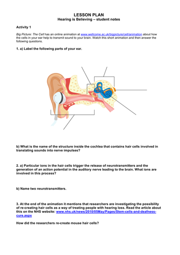 Big Picture: The Cell - Lesson activity - hearing | Teaching Resources