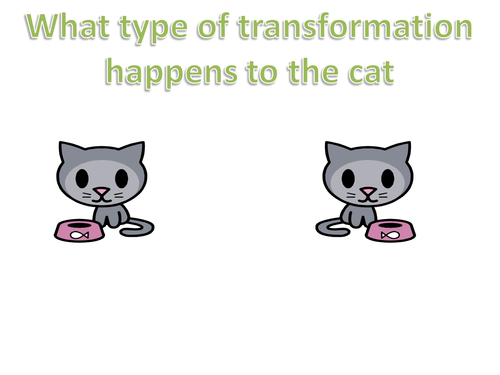 Cat transformations. Naming transformations | Teaching Resources