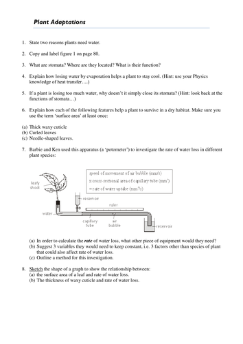 Plant Adaptations | Teaching Resources