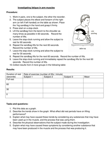 Investigating fatigue in arm muscles | Teaching Resources