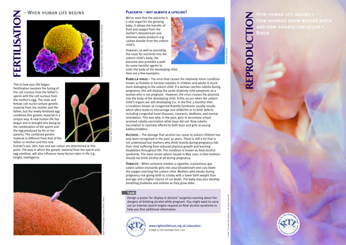 Reproduction | Teaching Resources Reproduction | Teaching Resources