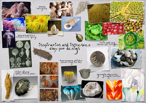 Natural Forms | Teaching Resources