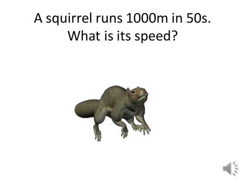 Animal speed calculations | Teaching Resources