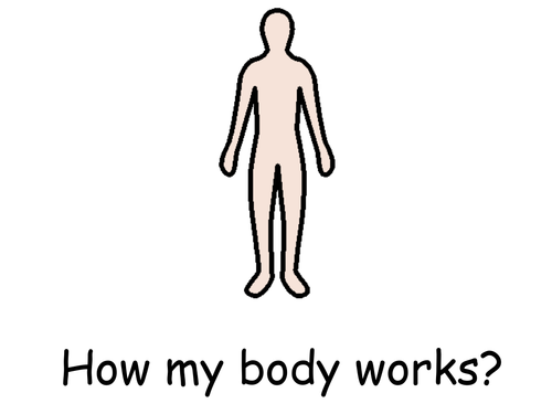 How my body works | Teaching Resources