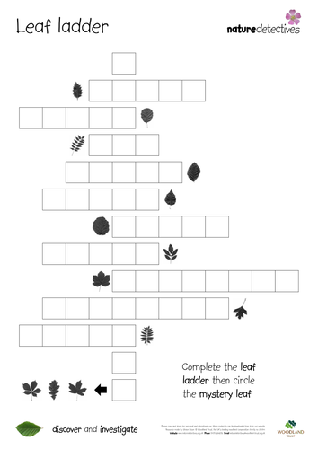 Trees - Leaf Ladder | Teaching Resources