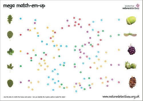 Trees - Matching Seeds and Leaves Dot to Dot | Teaching Resources