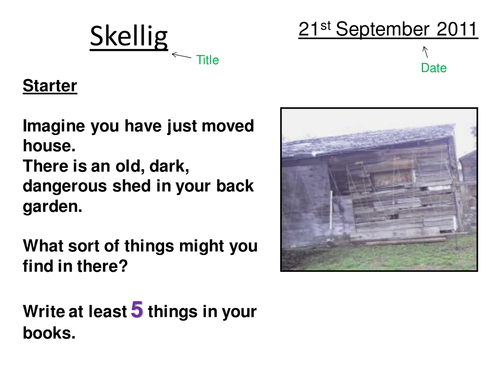 Skellig Lesson 1 | Teaching Resources