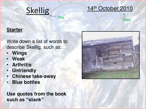Skellig Lesson 9 | Teaching Resources