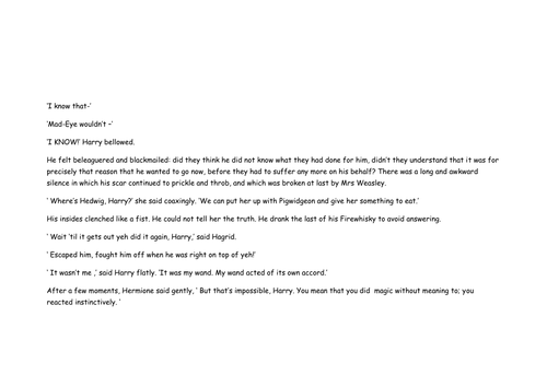 Harry Potter – Harry’s Perspective | Teaching Resources