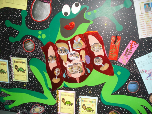 Maths Display Boards by - UK Teaching Resources - TES