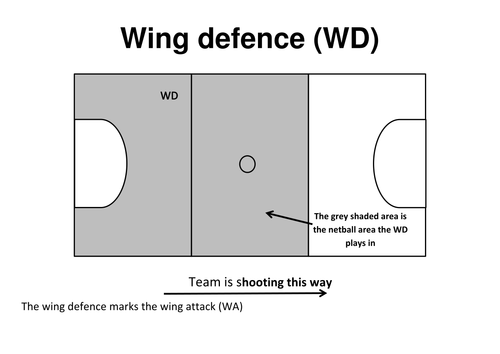 Netball Playing Position Cards By Jodz28 Teaching Resources Tes