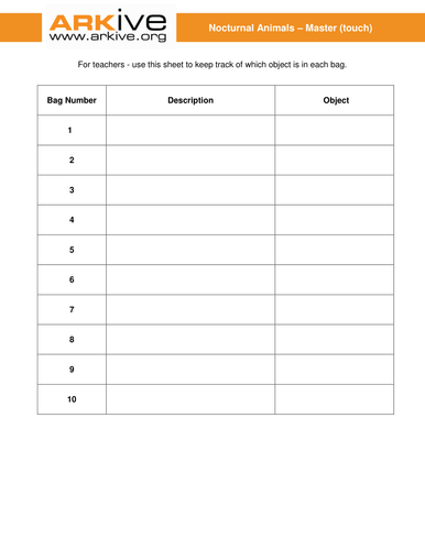 Nocturnal Animals | Teaching Resources Nocturnal Animals | Teaching Resources