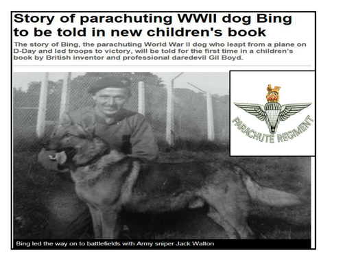 WW2 Animals in War | Teaching Resources