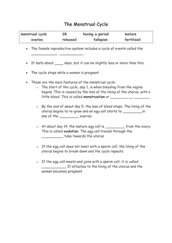 menstrual cycle | Teaching Resources