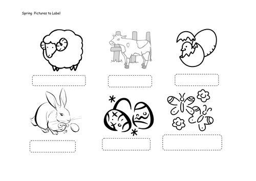 Spring pictures to label | Teaching Resources