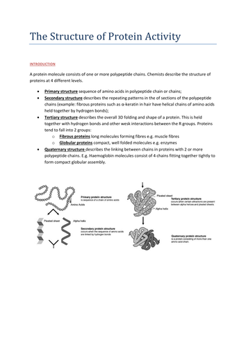 Structure of Proteins Activity | Teaching Resources