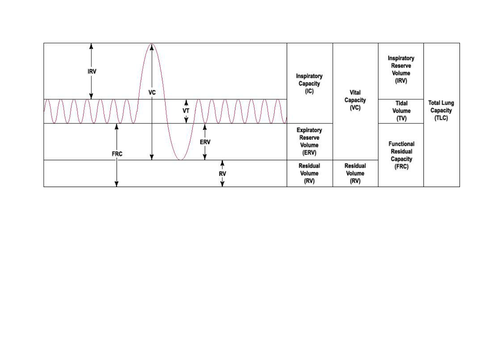 Spirometer Definitions by nicdg - Teaching Resources - Tes
