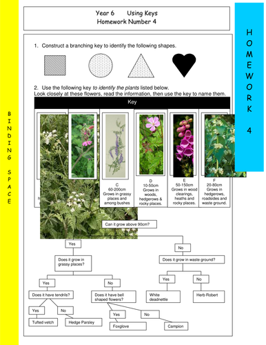 Using Keys Y6 Homework 4 | Teaching Resources