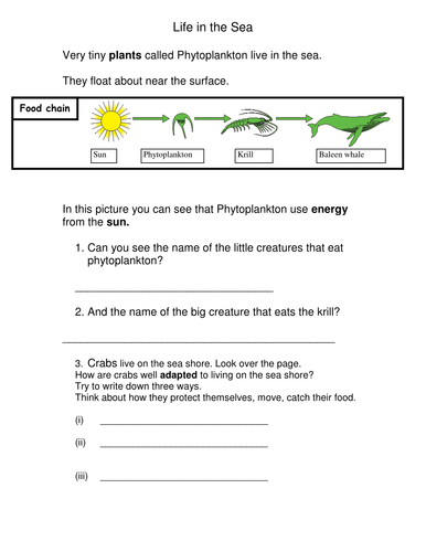 LIfe in the Sea - low ability homework sheet | Teaching Resources