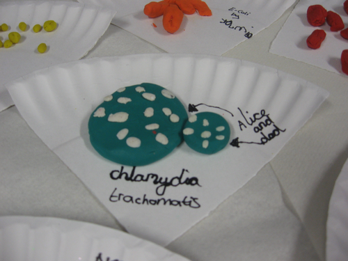 Primary - Microbe Mania: Multimedia | Teaching Resources