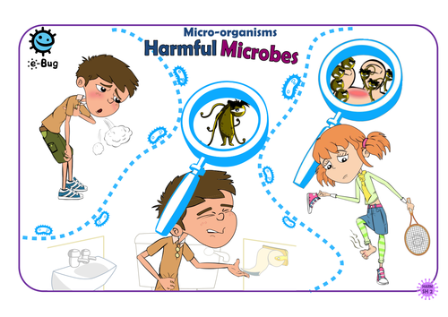 Primary - Harmful Microbes: Pupil Sheets | Teaching Resources