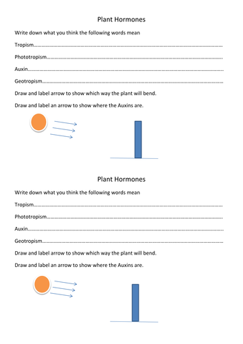 Tropism Worksheet