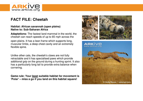 Adaptations for Movement | Teaching Resources