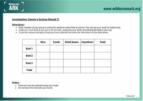 Biodiversity & Evolution: Darwin's Finches (16-18) | Teaching Resources