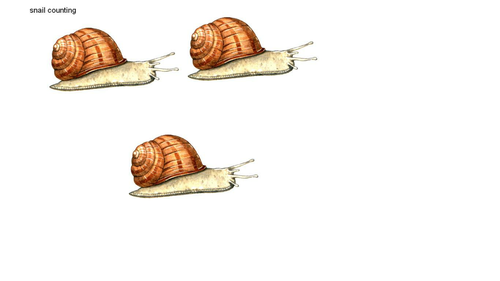 snail counting powerpoint | Teaching Resources