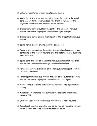 Nervous system key words worksheet by bobfrazzle - Teaching Resources - TES