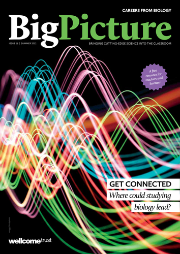 Big Picture: Careers from biology | Teaching Resources