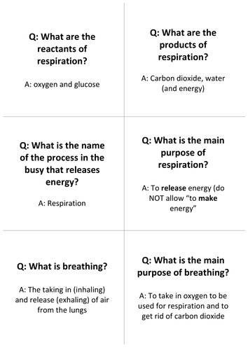 Respiration Question Cards and Loop Game | Teaching Resources