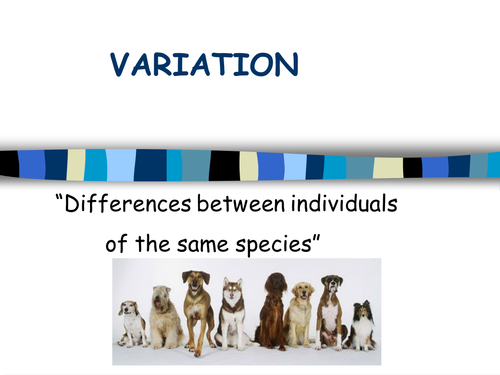 Variation Meaning