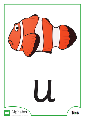 The Letter U - Ocean Theme | Teaching Resources