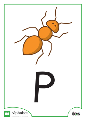The Letter P - Minibeasts Theme | Teaching Resources