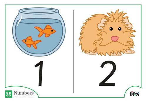 Number Cards - Pet Theme 1-100 | Teaching Resources