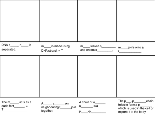 Protein Synthesis Comic Strip