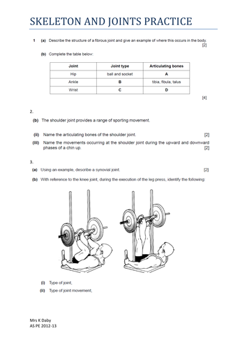 GCSE PE, Skeleton and Joints by lgallagher22 - Teaching Resources - TES